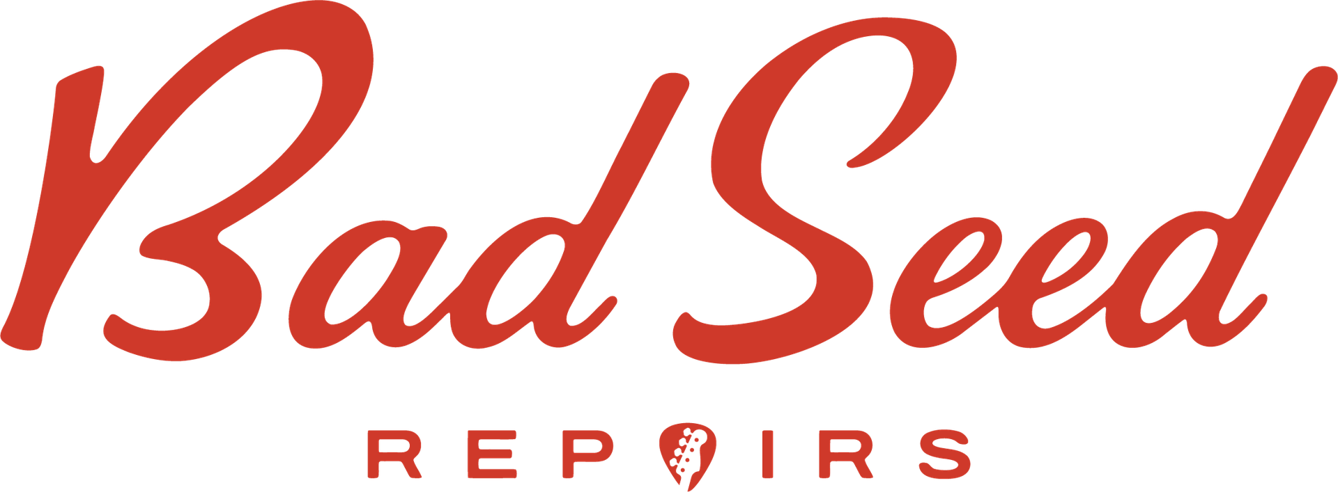 Terms & Conditions - Bad Seed Repairs